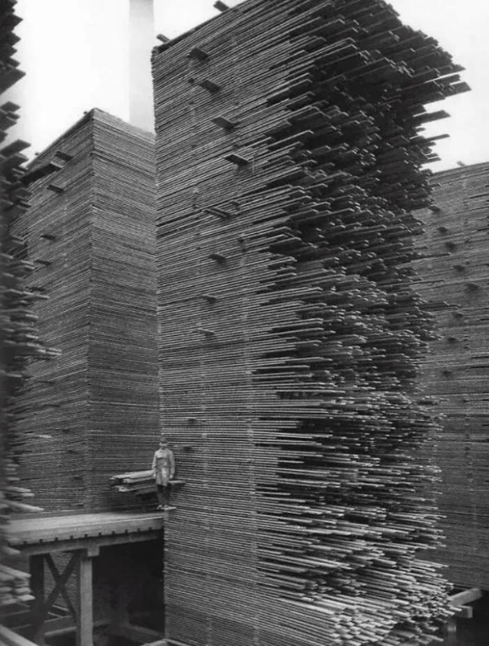 A set of pictures that may cause "giant phobia"!Which one scares you ...