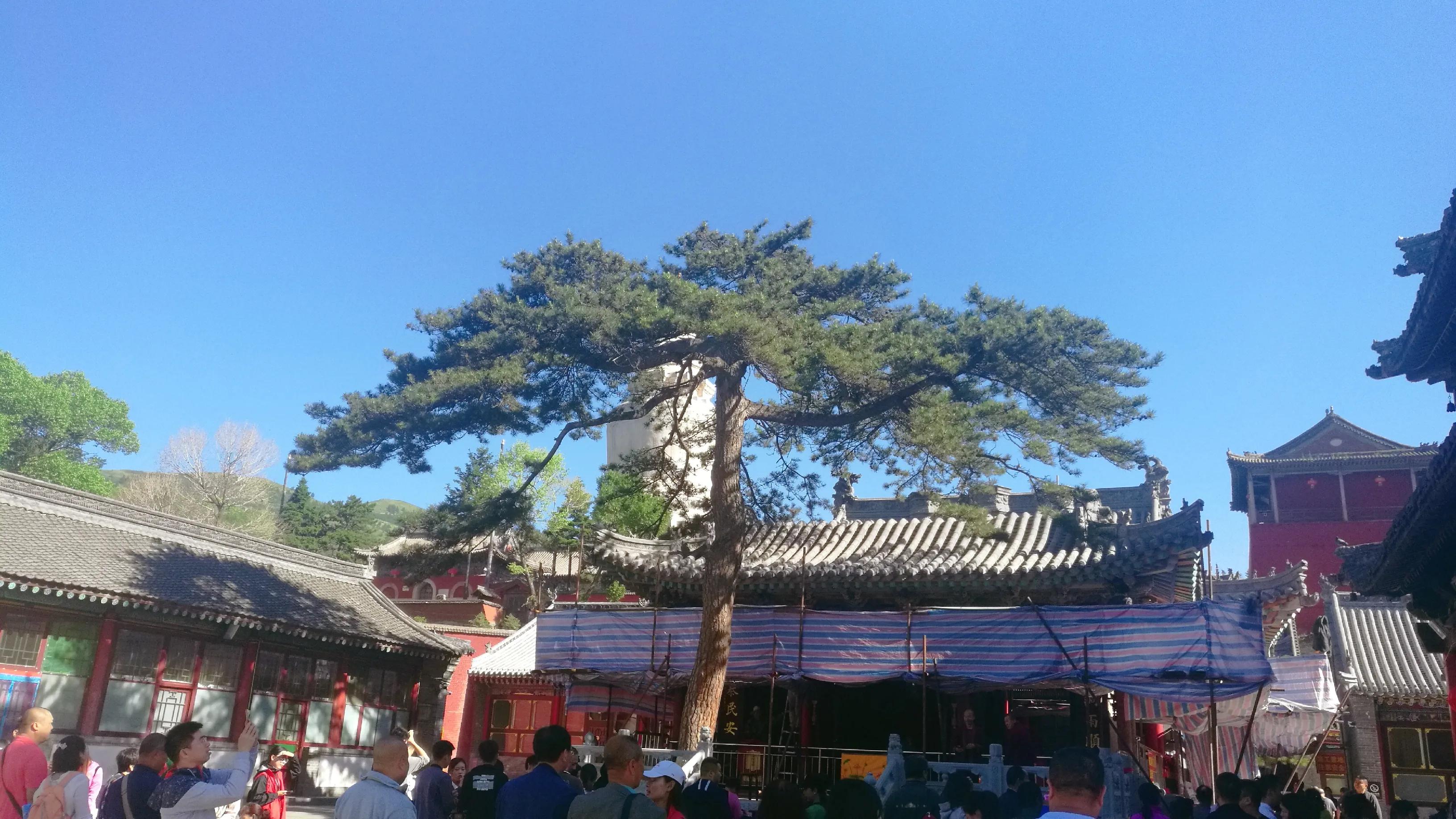 Wutai Mountain's most famous and most popular temple-Wuye Temple - iNEWS