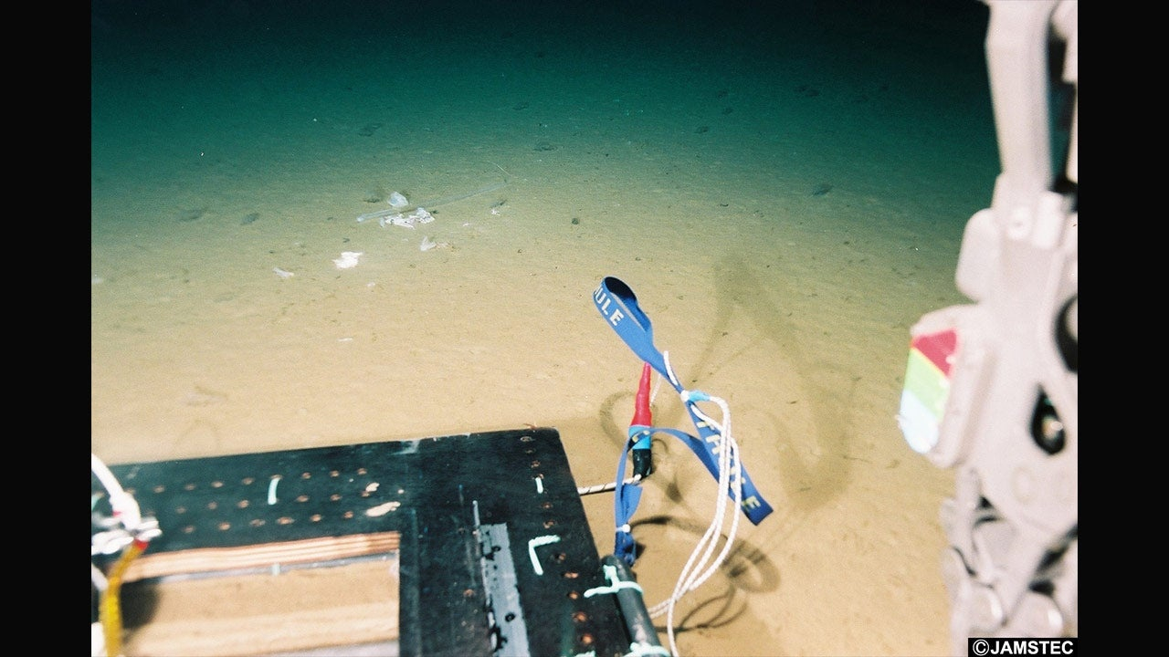 What is 10,000 meters under the sea? Scientists go deep into the ...