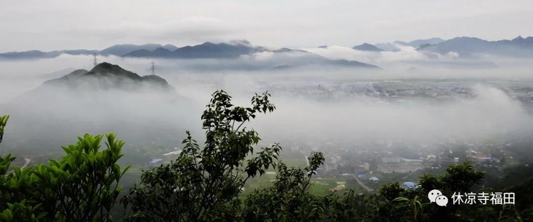 The legend of "Nine Lions and One Elephant" in Xianyan is the first ...