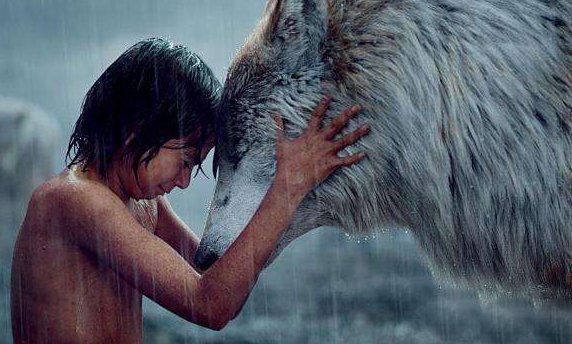 Why do wild wolves raise human babies and let them become wolf children ...