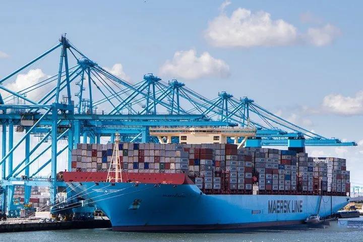 Trans-Pacific route with strong demand and "good harvest" in sight - iNEWS