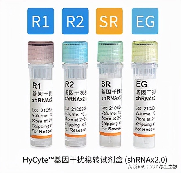 Frequently Asked Questions of HyCyte Gene Interference Stable Transformation Kit - iNEWS