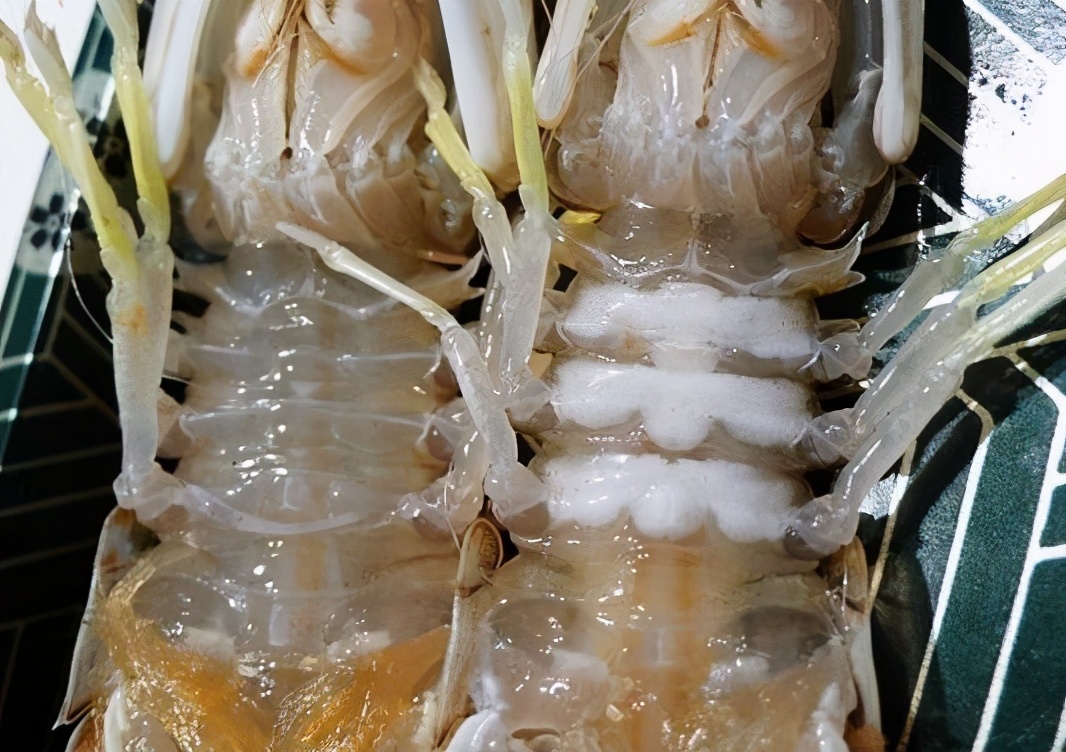 In September, I opened the sea, learned this little trick, and from ...