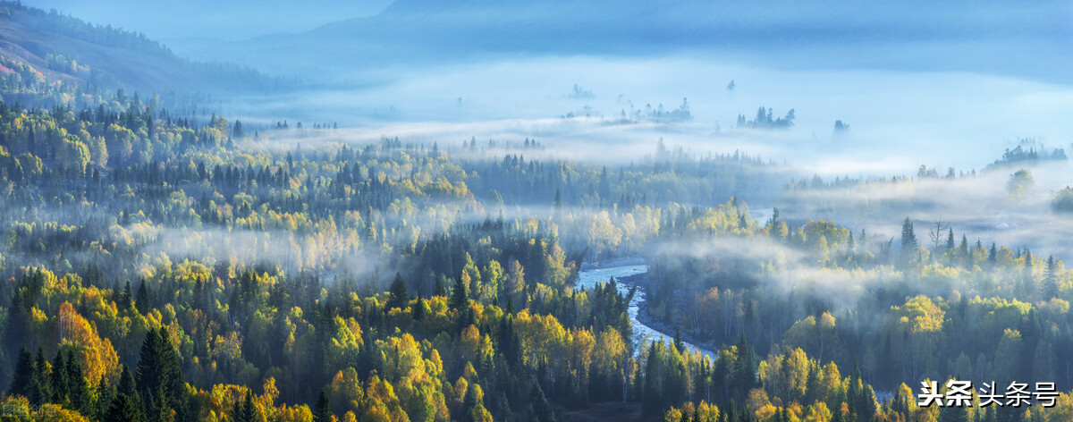 Don't be as angry as Napoleon - iNEWS