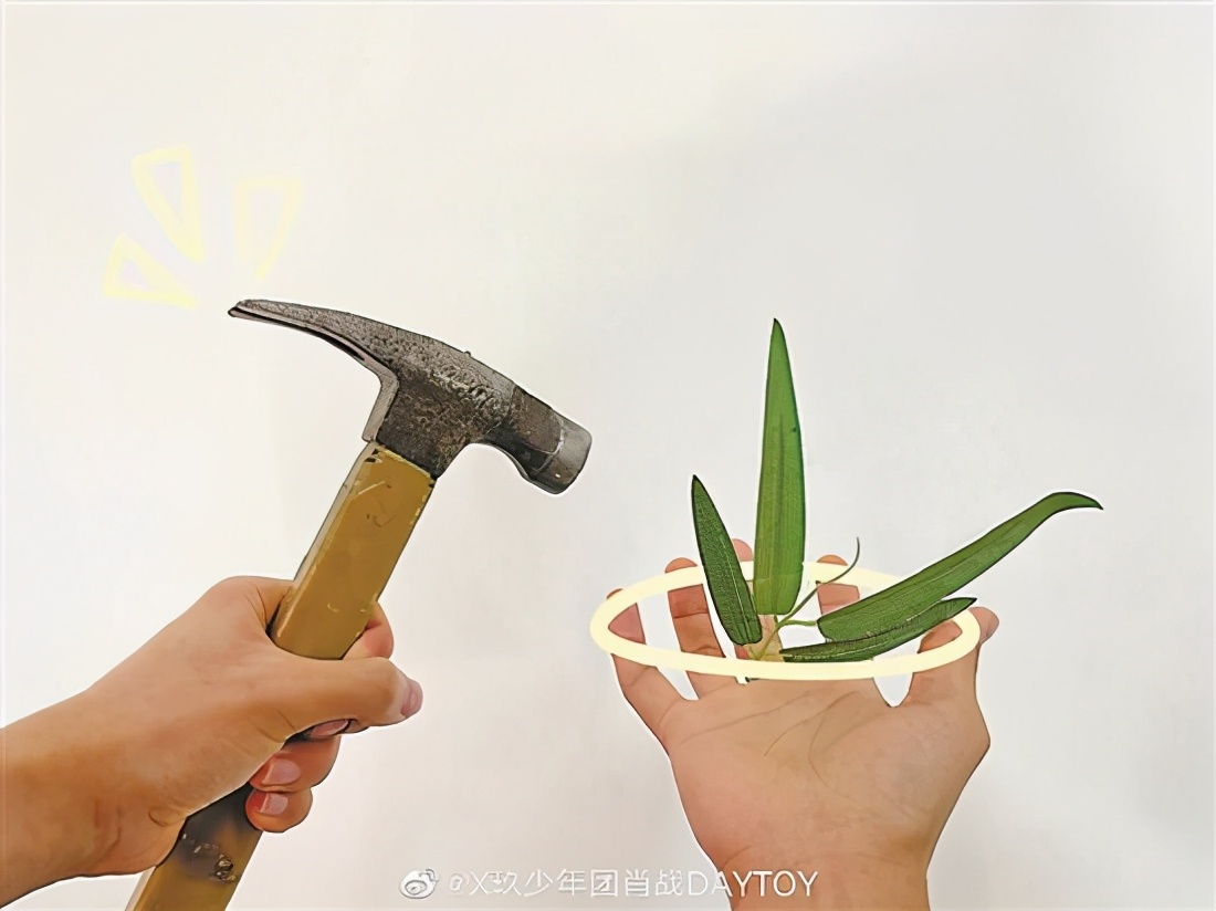 Book fan drama fan battle, "Douro Continent" premiered on hot search ...