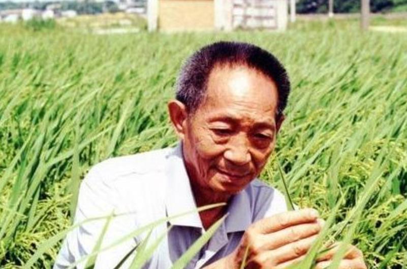 Neng Wen Neng Wu Deng Zhe: 26-year-old married 34-year-old Yuan ...