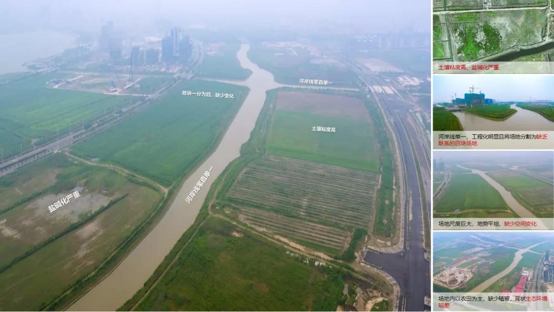 Shanghai Starry Sky Sponge Park / China Architecture Design and ...