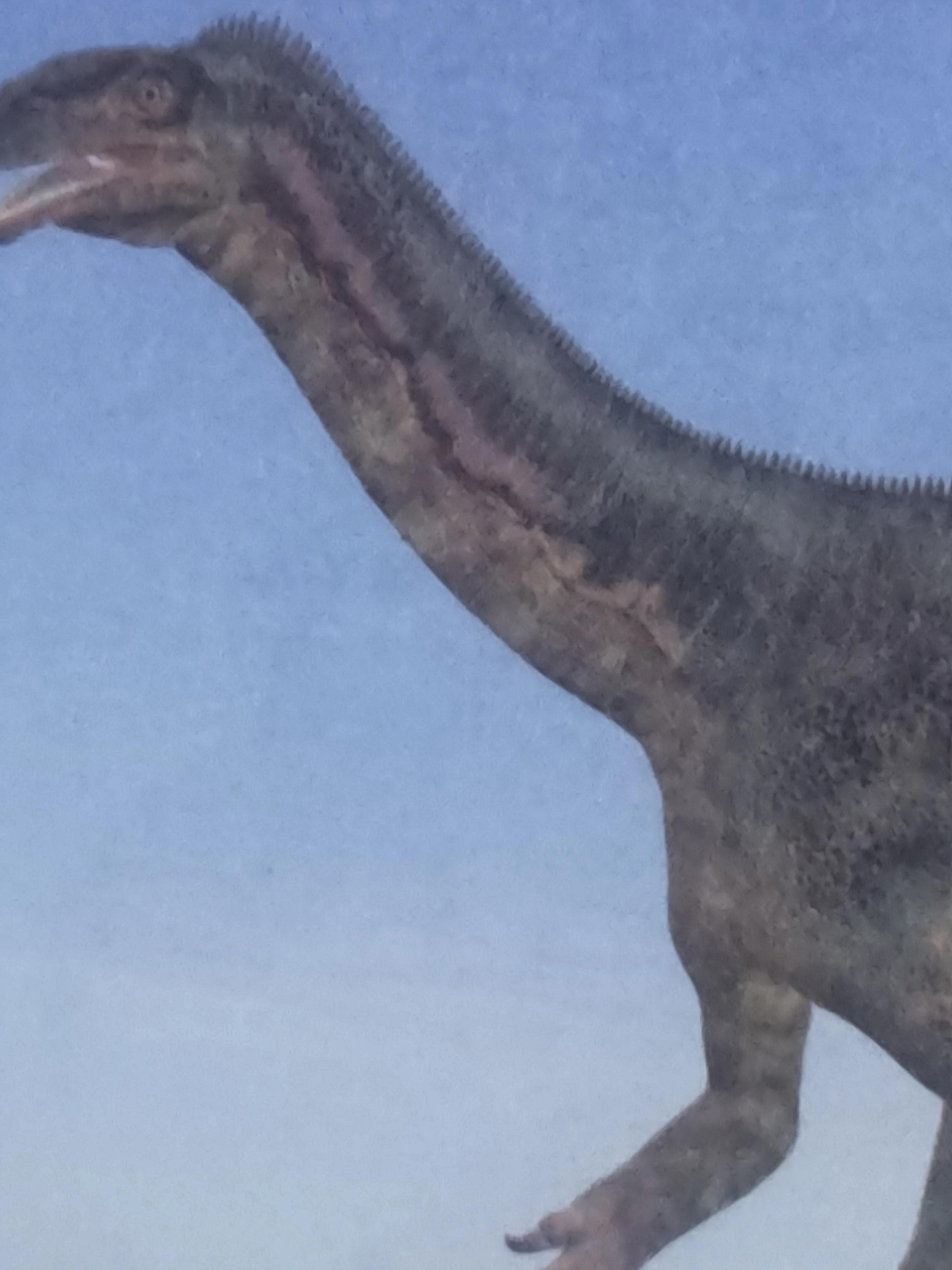 During the Mesozoic Era, Panosaurus, one of the sauropod dinosaurs that ...