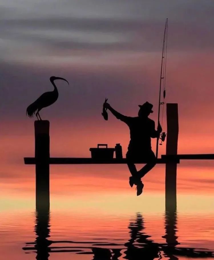 Take good silhouette photos, background and metering are the key - iNEWS