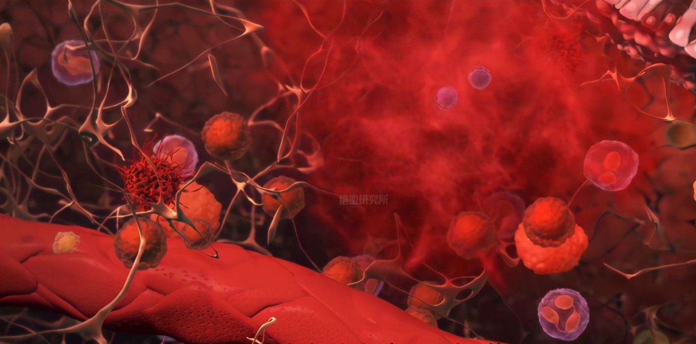 The intestines are the second brain?7 secrets about the intestines - iNEWS