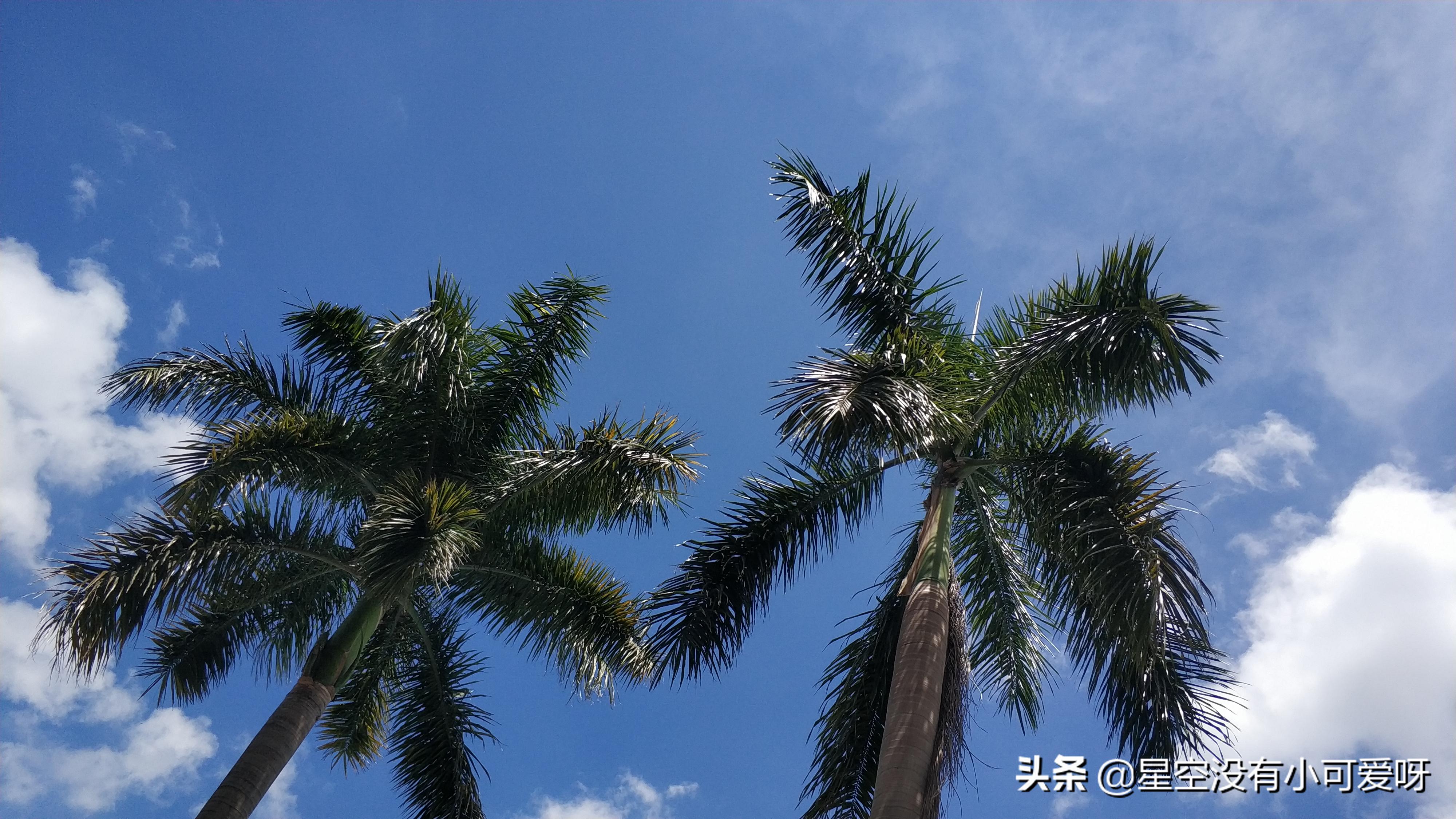 One worships heaven and earth, and two worships Gaotang, then what are ...