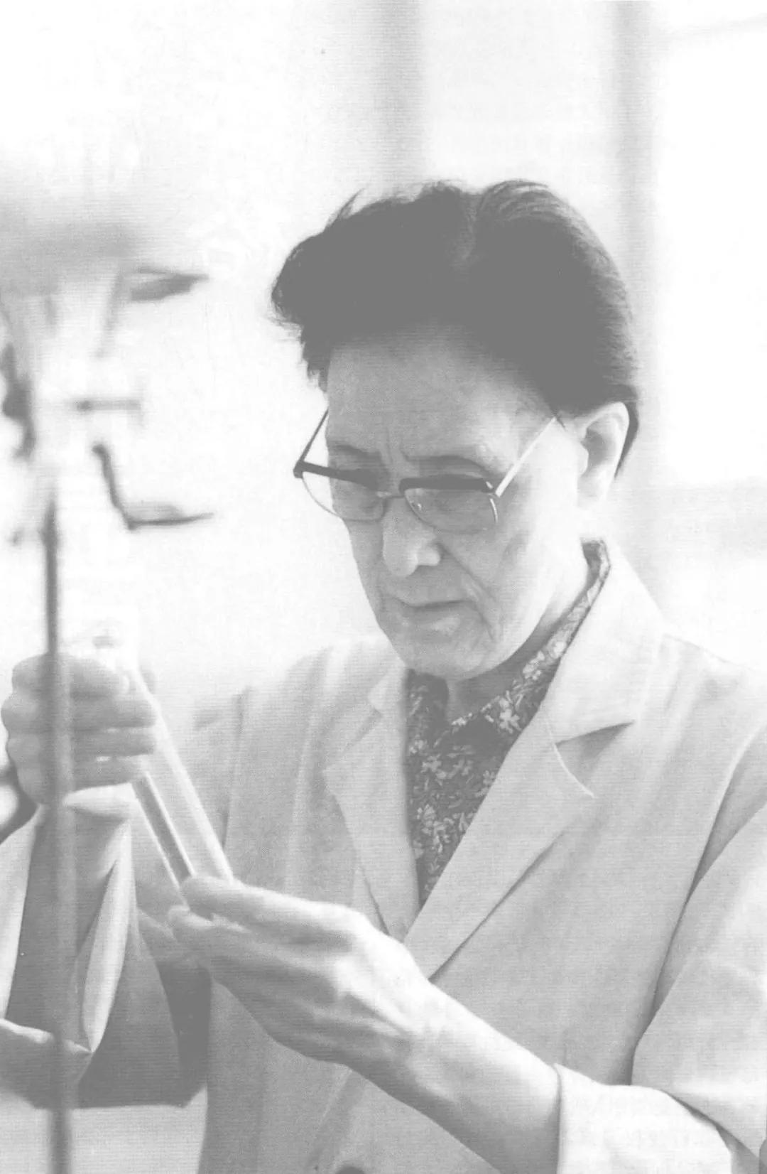 Who made Changyu Jiebaina? - iNEWS