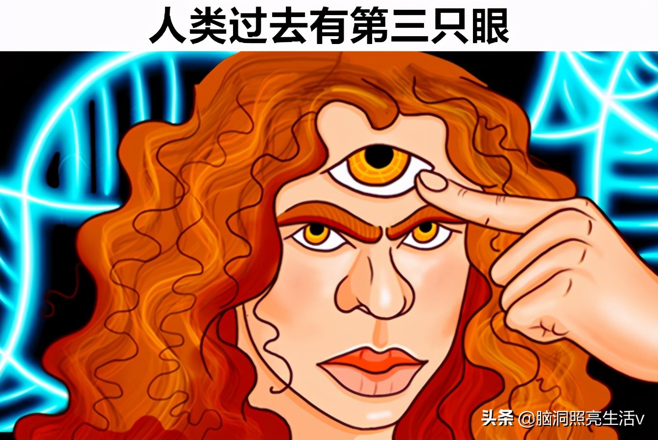 Humans have a third eye?Scientifically proven: 9 very mysterious ...