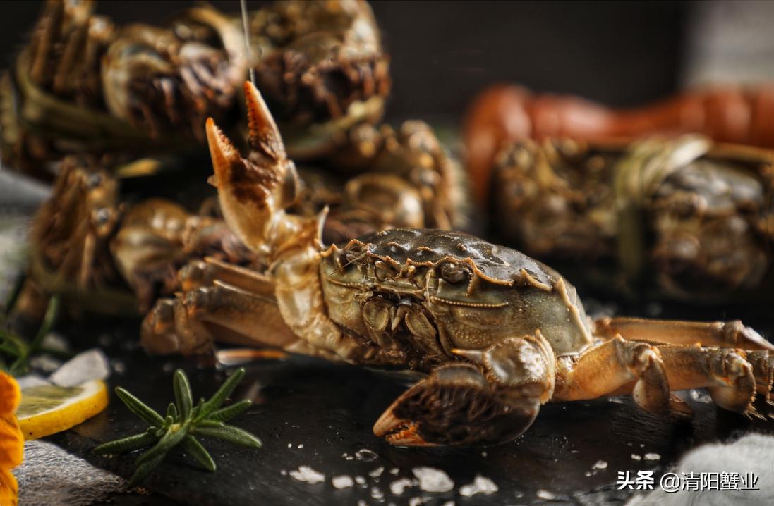 What is unique about June Yellow, which makes the tip of the tongue ...