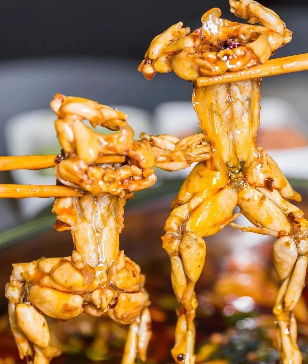 Sichuanese Wild Frog Eating Illustrated Book - iNEWS