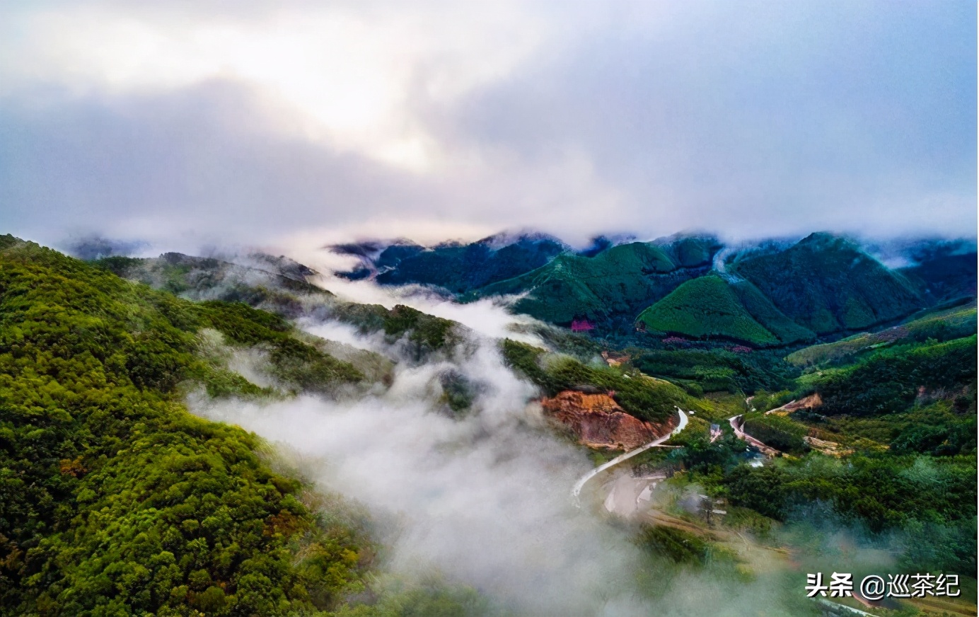 Seeking the "Source" of Tea·The Last Secret Land of China-Lincang - iNEWS