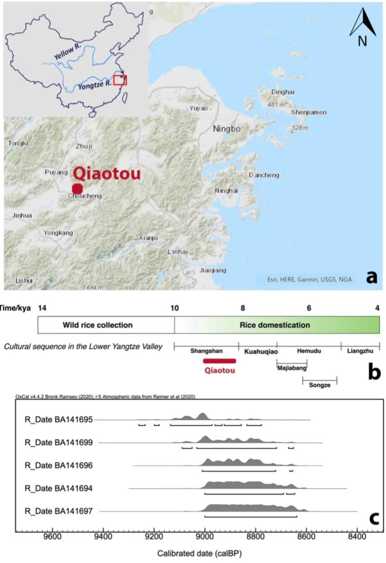 New study finds evidence that southern China started drinking beer ...