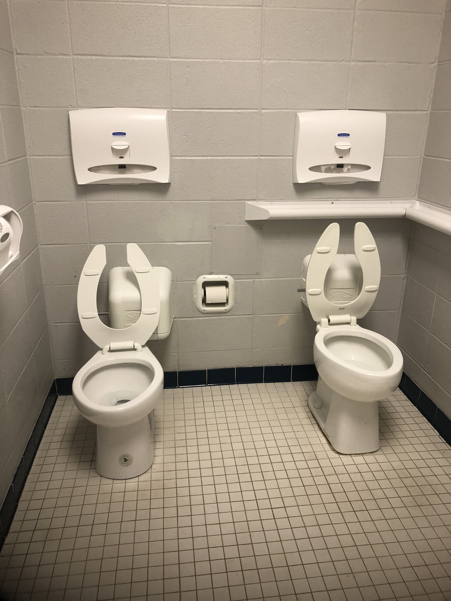 The American actress revealed that she installed double-row toilets at ...