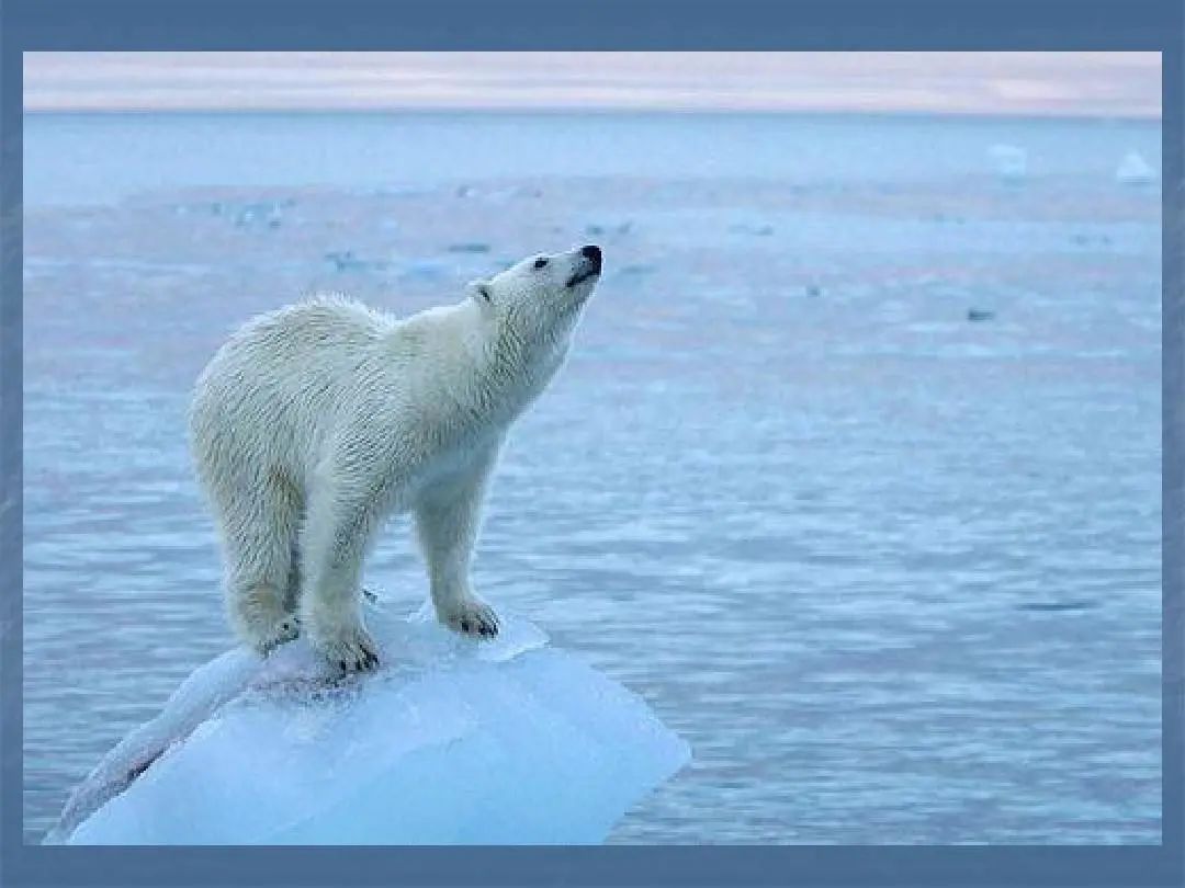 Zero Carbon: The Possible Face of Life in the Future - iNEWS