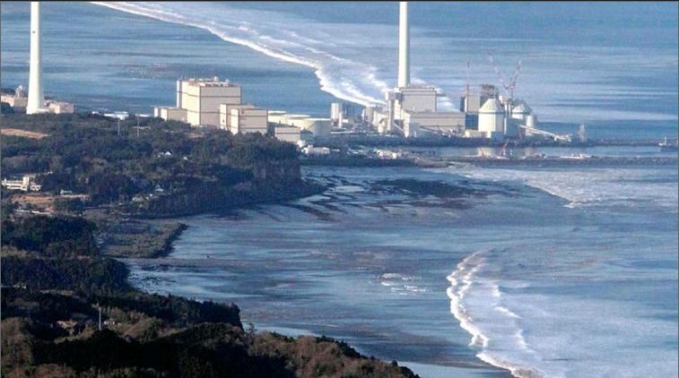 Japan's nuclear waste water discharged into the sea, a disaster for all ...