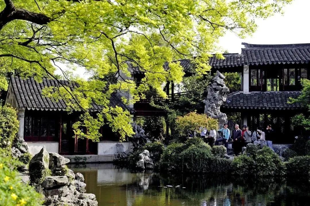 At the end of summer, these "six ones" in Tongli are wonderful - iNEWS