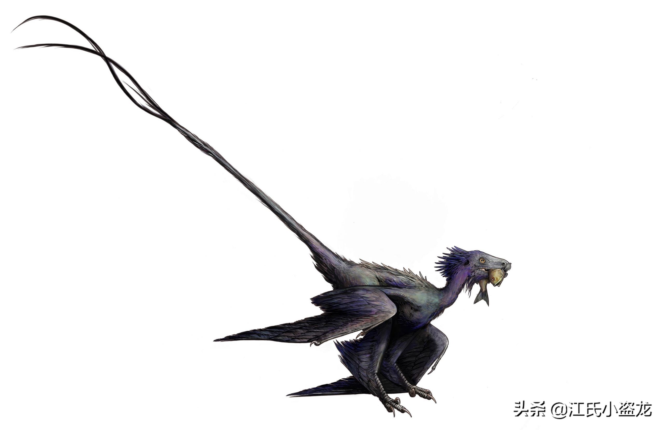 How many dinosaurs did paleontologists name in 2020? - iNEWS