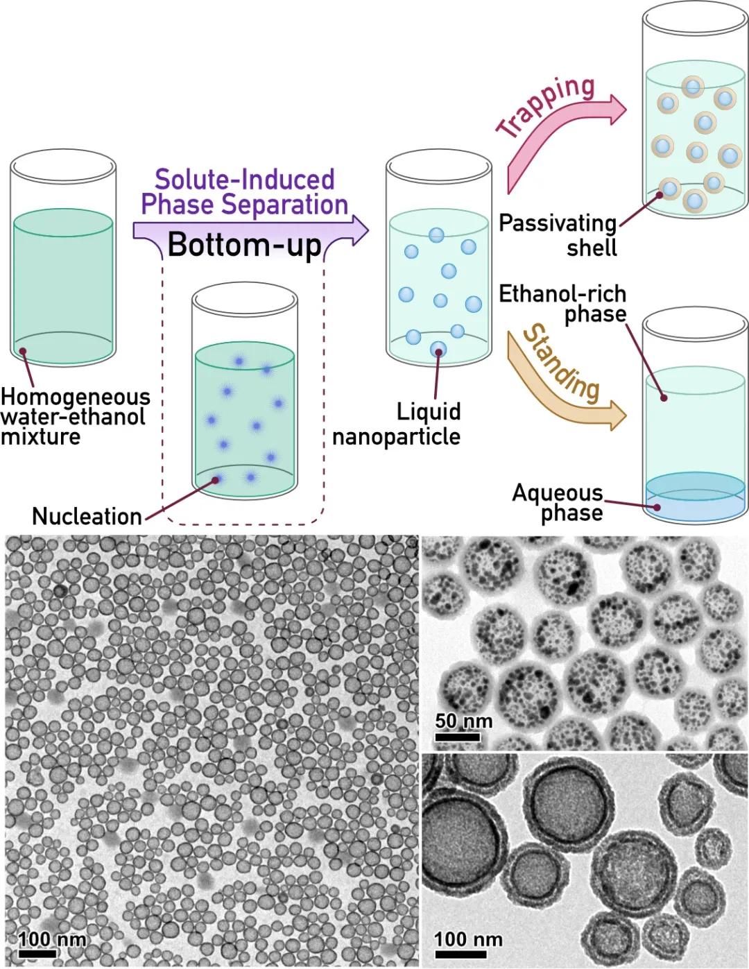 Manipulating the growth and assembly of nanoparticles - iNEWS