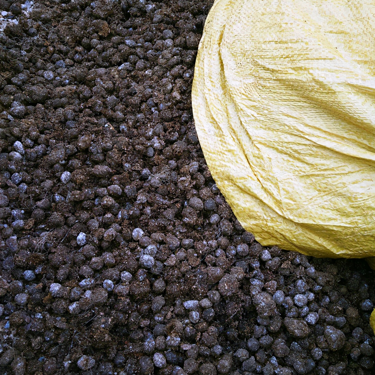 The advantages and disadvantages of sheep dung, some are suitable for ...