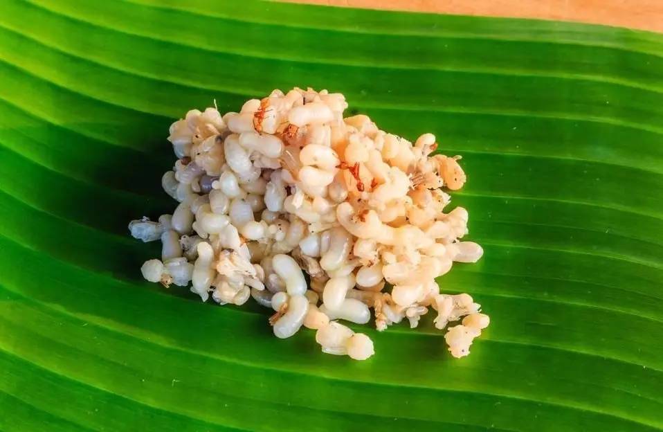 5 kinds of "disgusting" food, I can bear the mosquito burger, the last ...