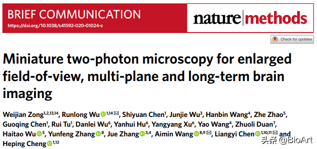 The second generation of miniaturized two-photon microscope developed ...