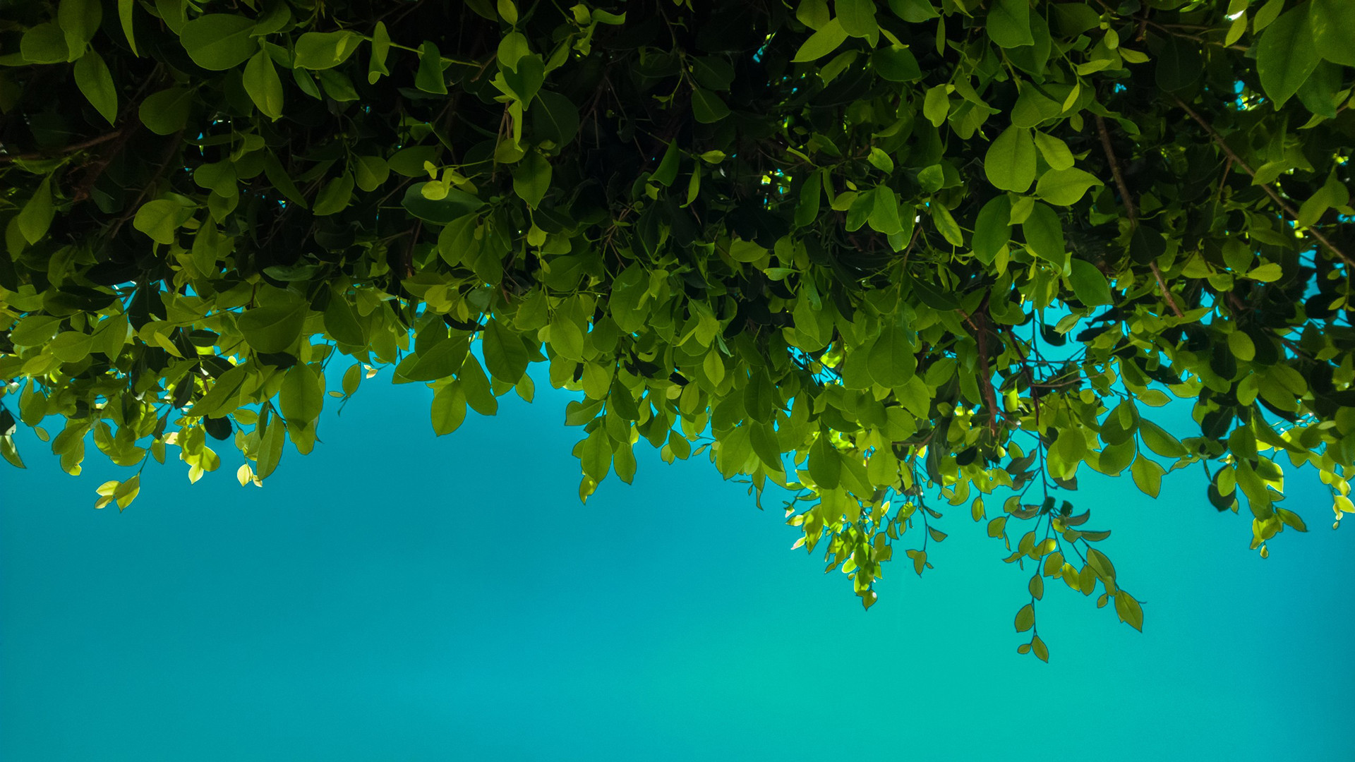 82 eye protection computer desktop wallpapers, super super complete ...