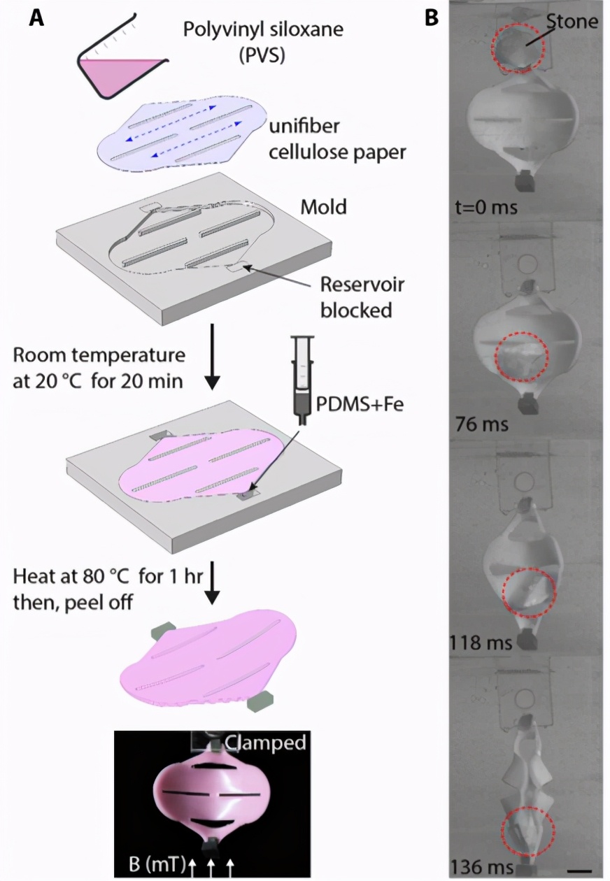 "Science Sub-Journal" kirigami shell hydrogel gripper - iNEWS