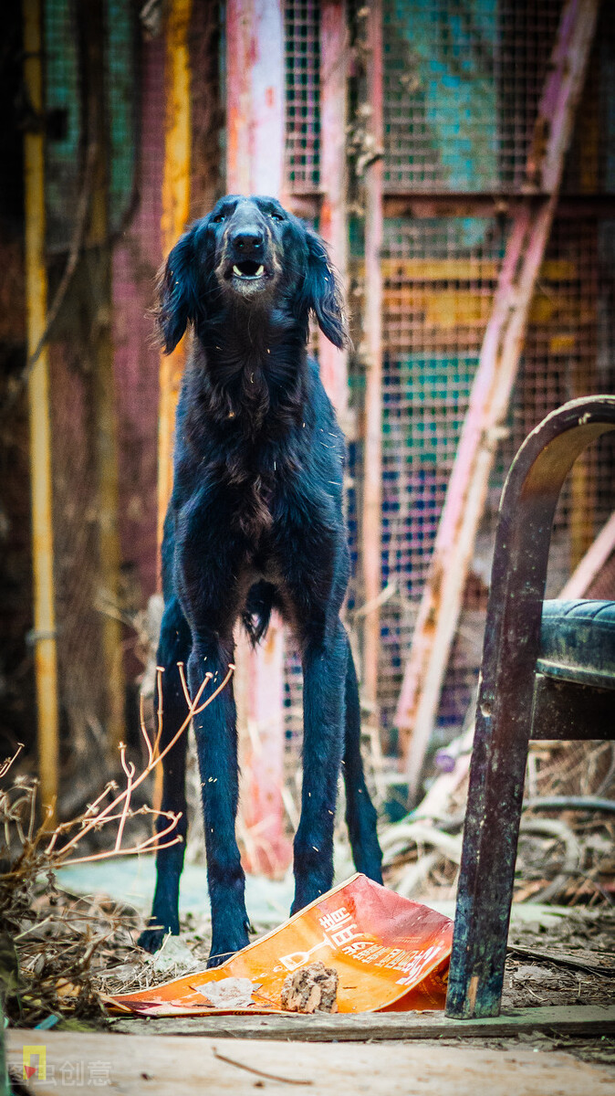 In the myth, Erlang sits down on the beast, and the ancient majestic ...