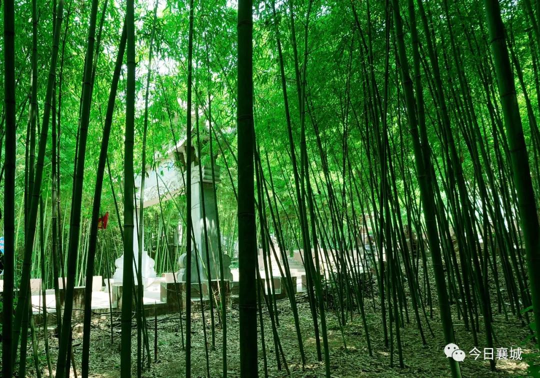 82,900 people!Take a look at the National Day Xiangcheng "Report Card ...