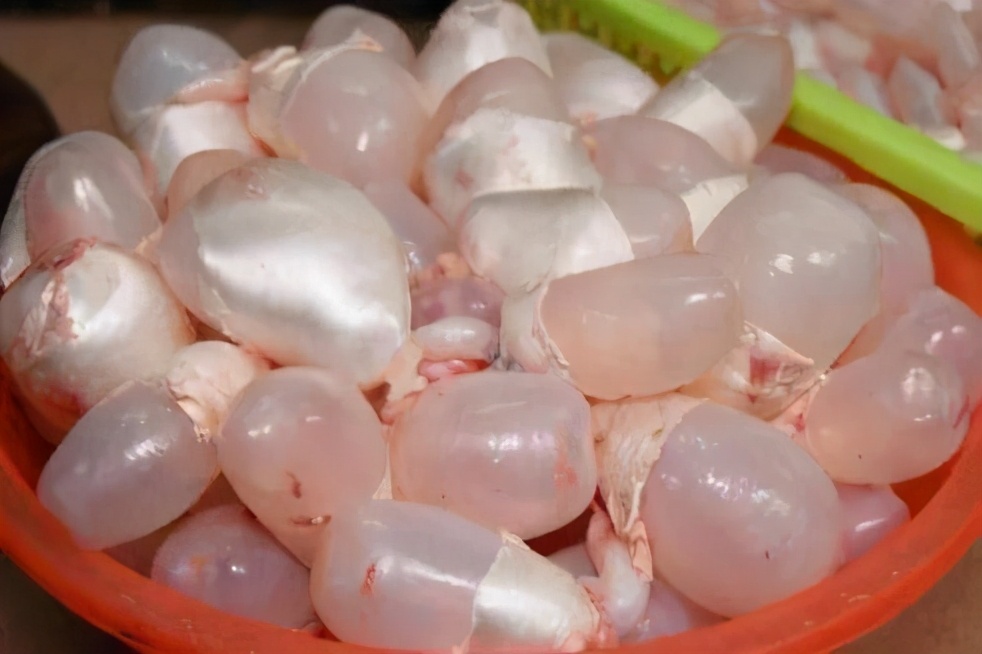 From sheep intestines, flax to rubber, how wild is the way for humans ...