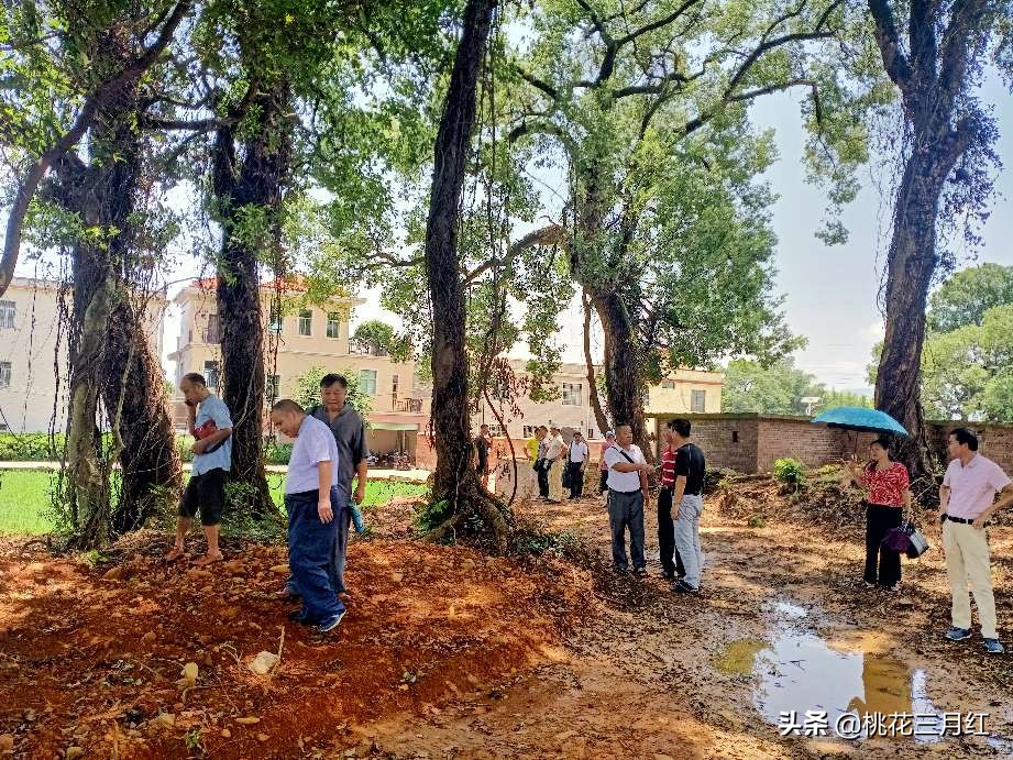 Wen Shao through the ages, Su Xin Yi Lan - iNEWS