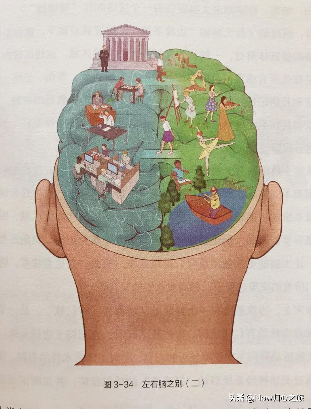 Dr. Yang Dingyi, a genius scientist: Meditation can improve children's ...