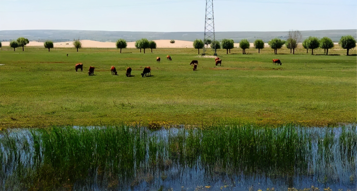 The Mu Us Desert is about to disappear. Why will the Taklimakan Desert ...