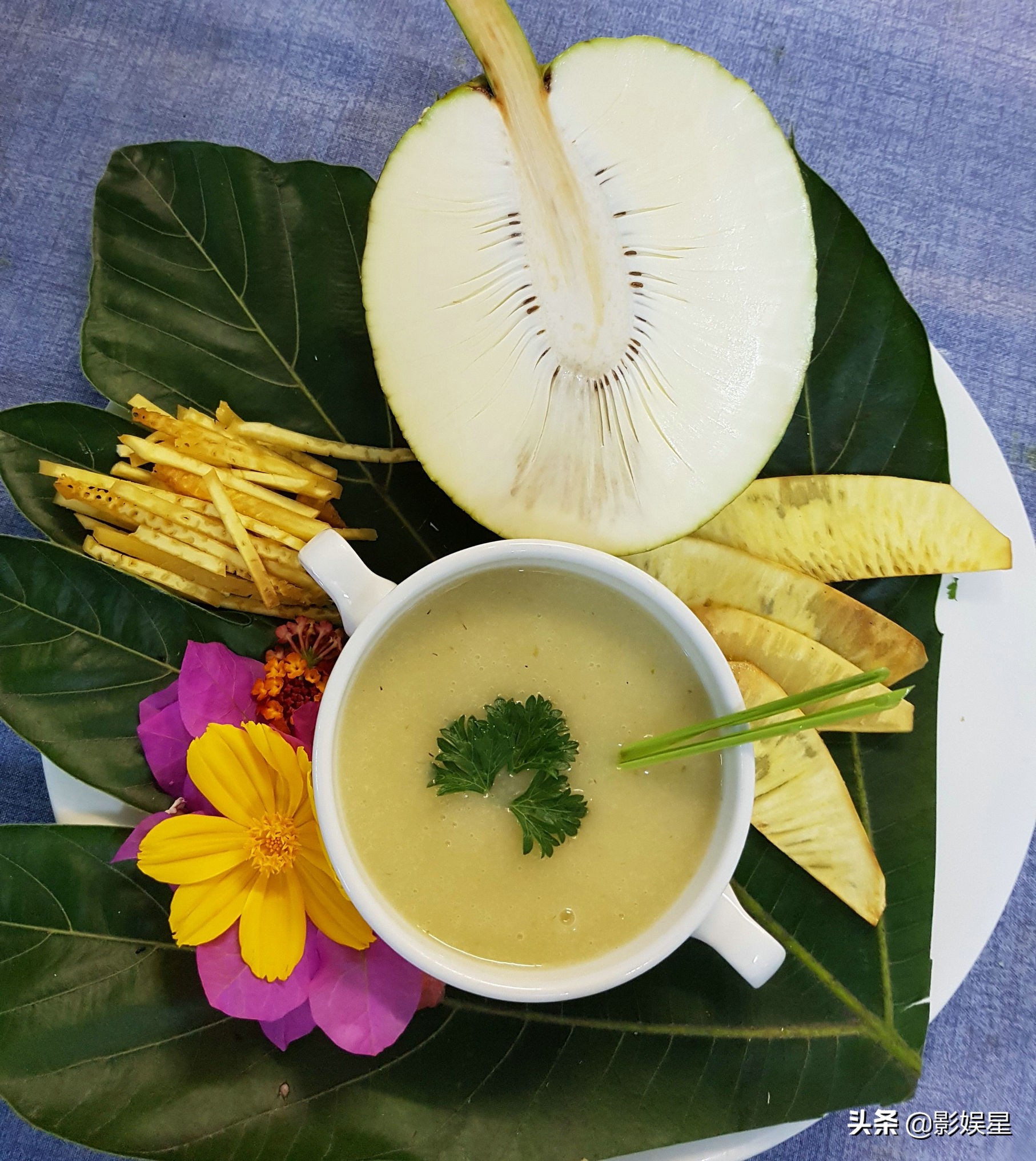 The magical bread tree, a tree that feeds a family, the fruit tastes ...