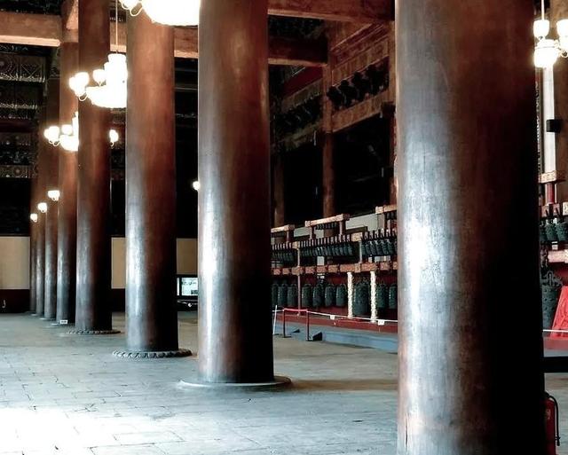 Golden Phoebe: Why is it called Golden Phoebe? - iNEWS