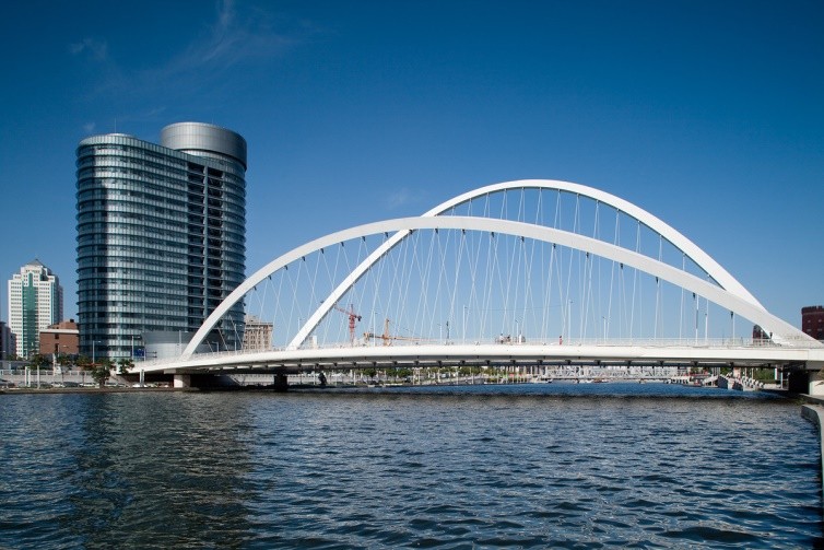 Tianjin's bridge - iNEWS