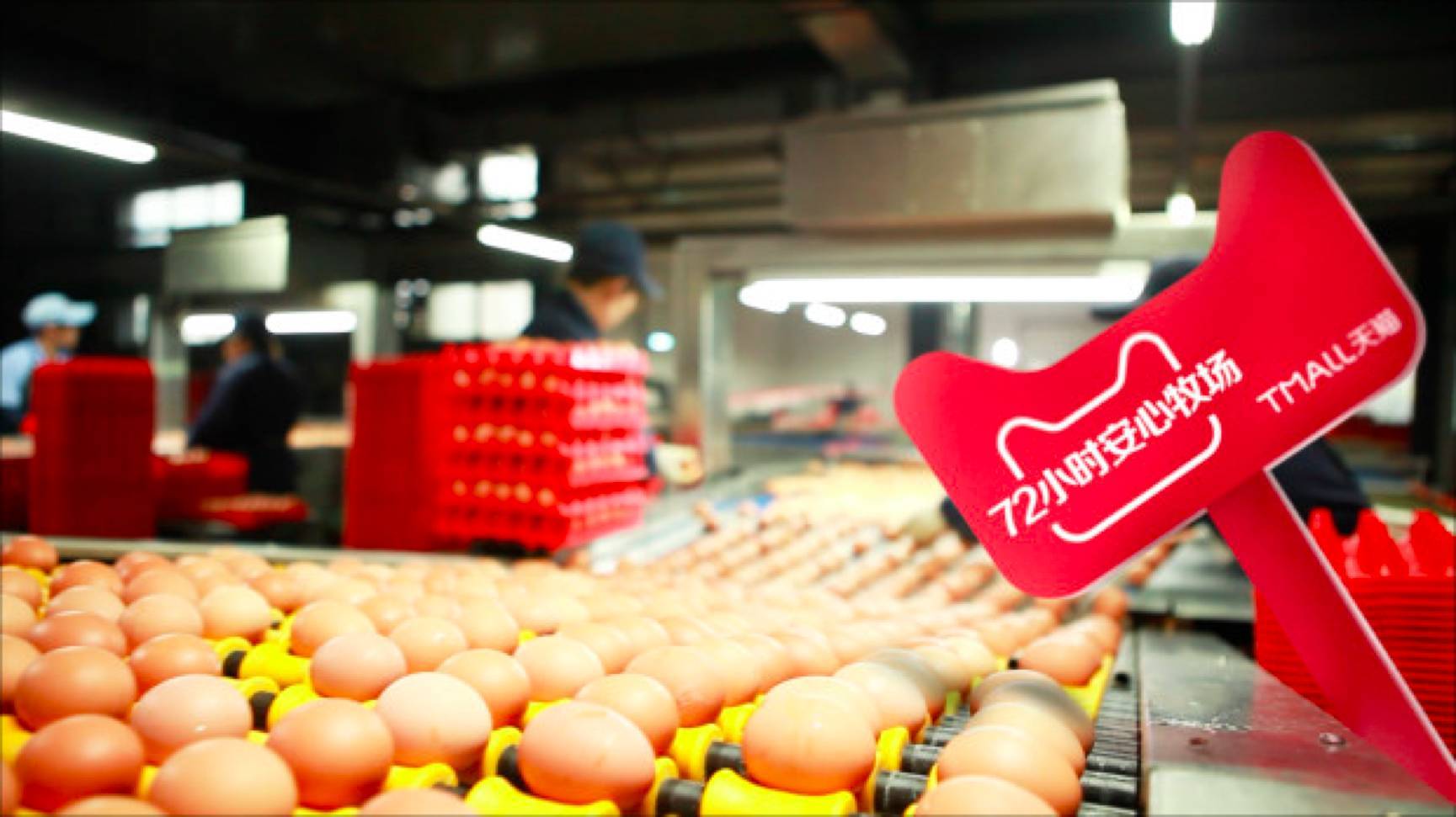 How to get free shipping when shopping in Tmall supermarket? - iNEWS