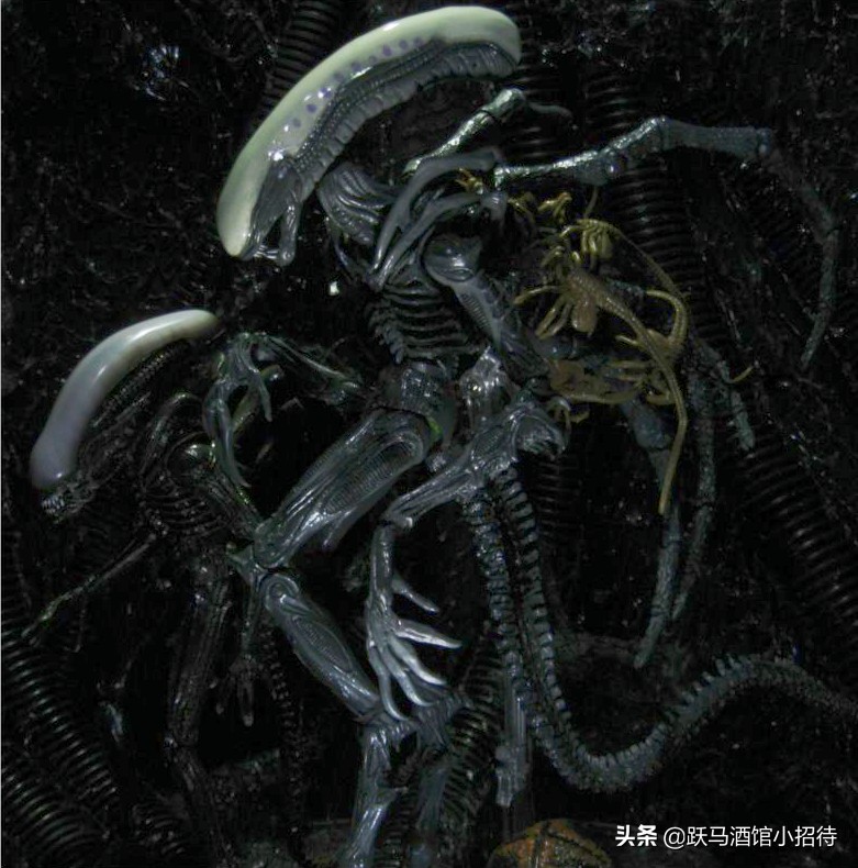 Introduce several little-known alien variants - iNEWS