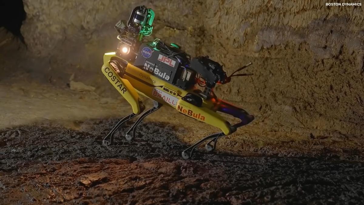 Xiaomi "Iron Egg" Robot Dog Released: What are the applications that ...