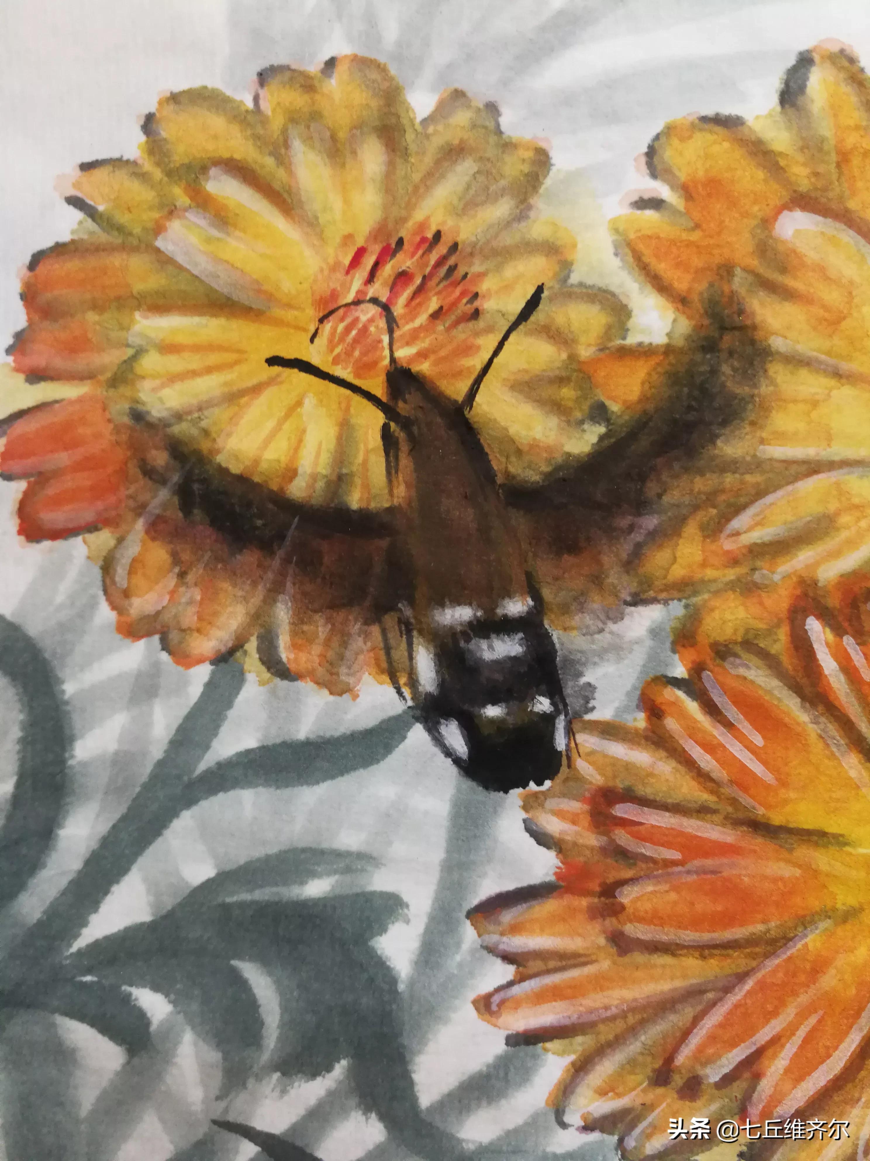 There are many stories about Orson encountering extinct hummingbirds ...