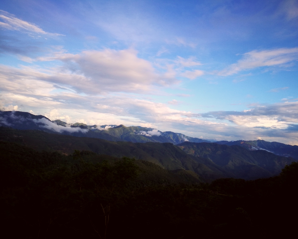 Learn Pu'er tea from scratch, the fourth chapter "The Yiwu Tea Mountain ...