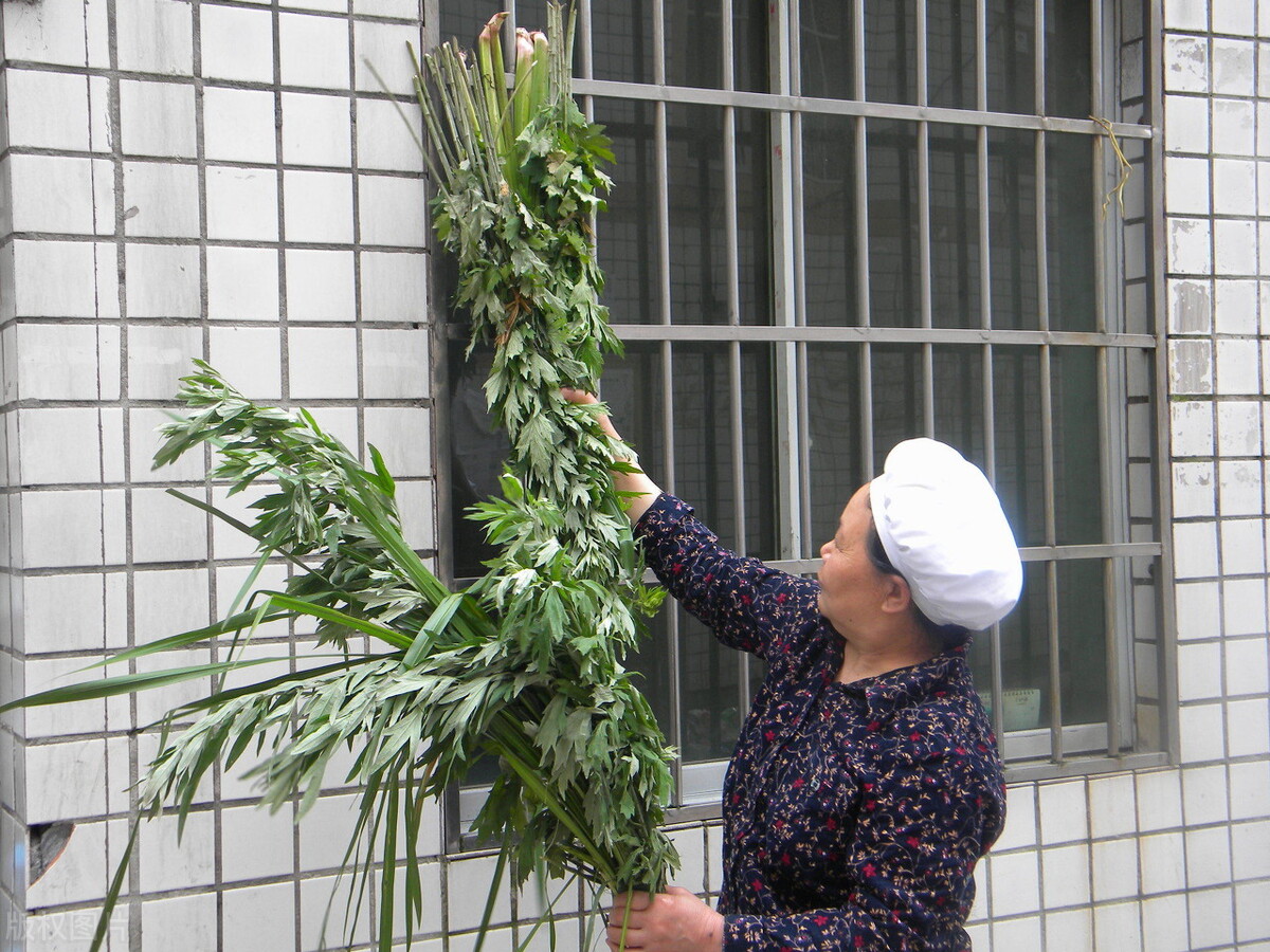 Why do I have to hang calamus during the Dragon Boat Festival?Four old ...