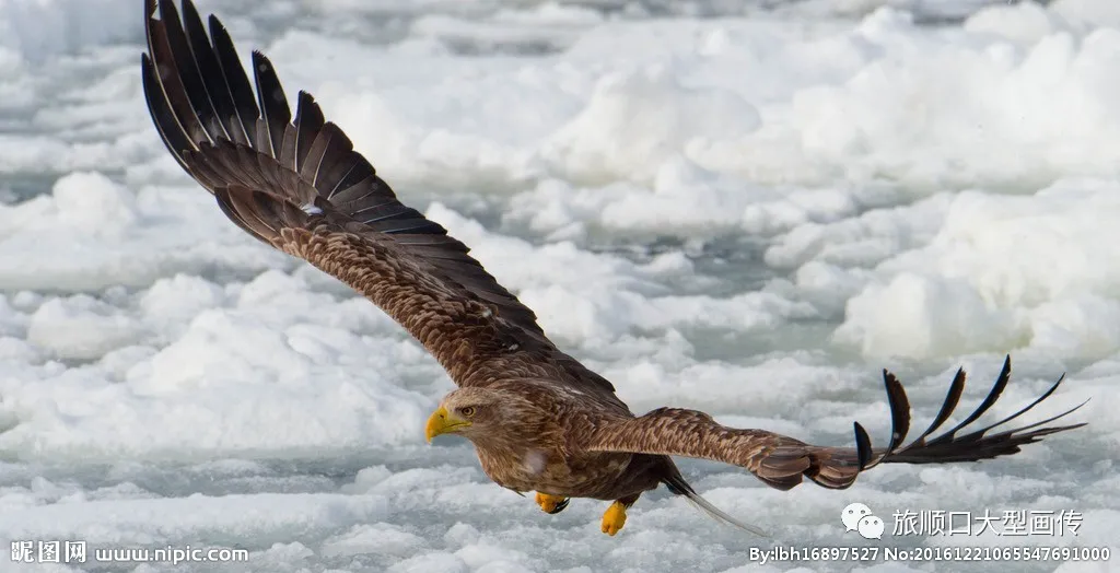 The nine natural wonders of Lushun - iNEWS