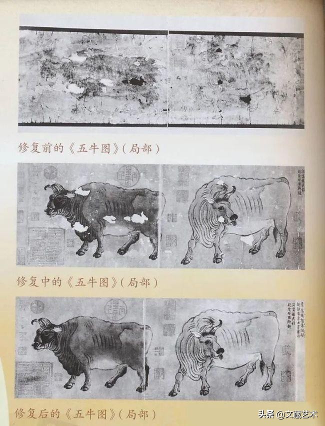 Bullish: Some cattle are on display in China, and some are worth ...